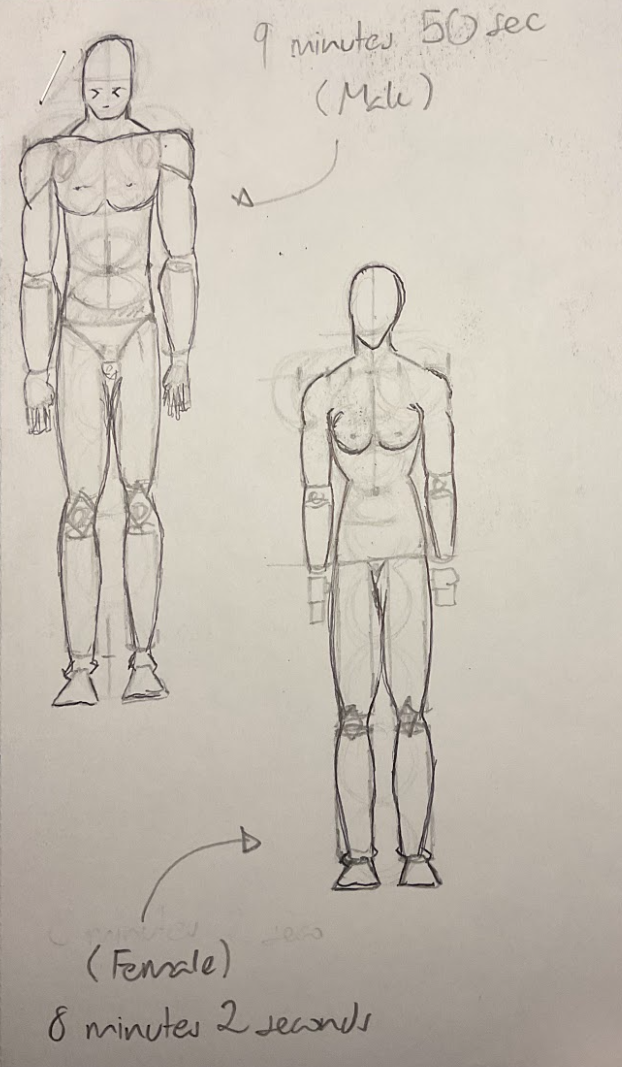 how to draw male torso