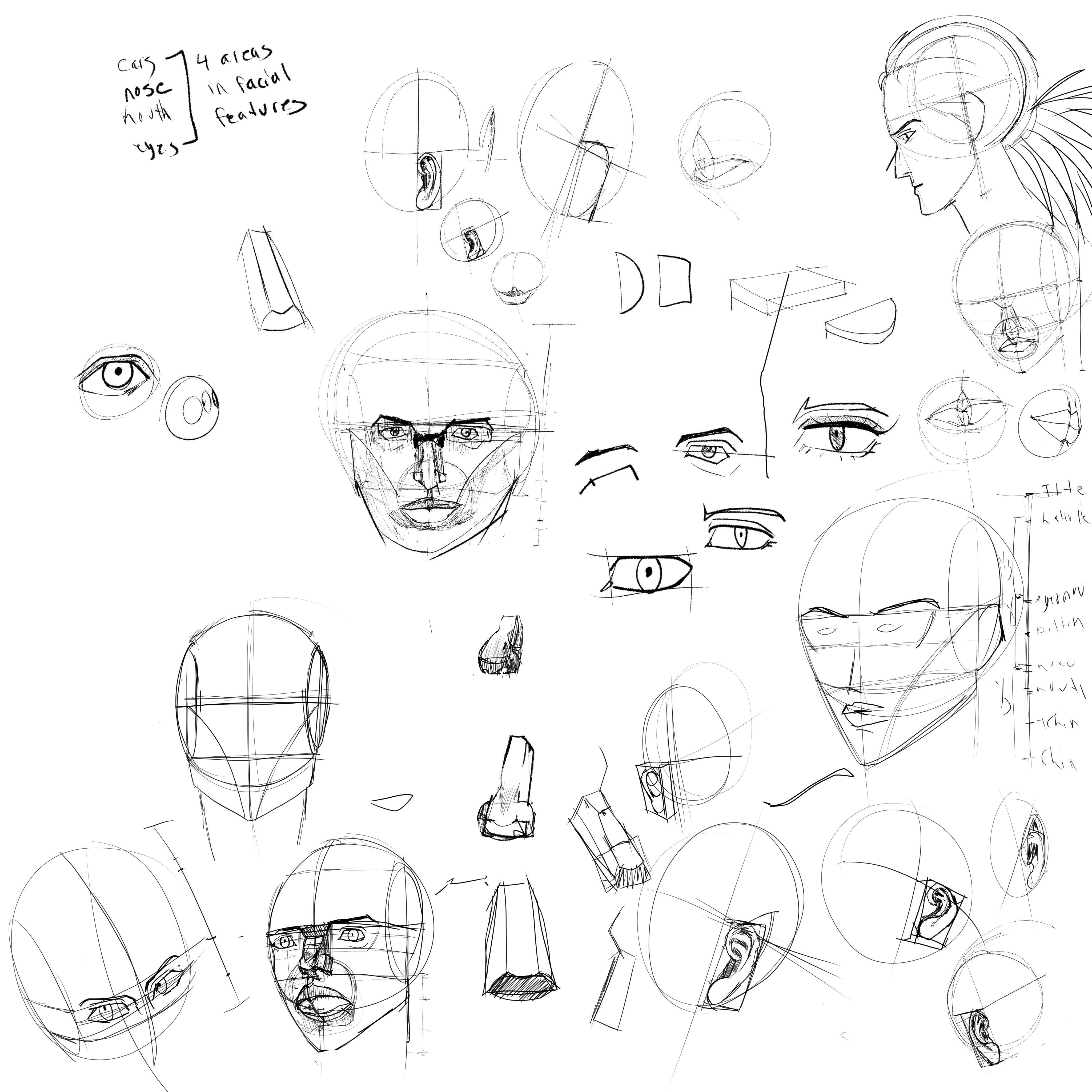 perspective drawing reference